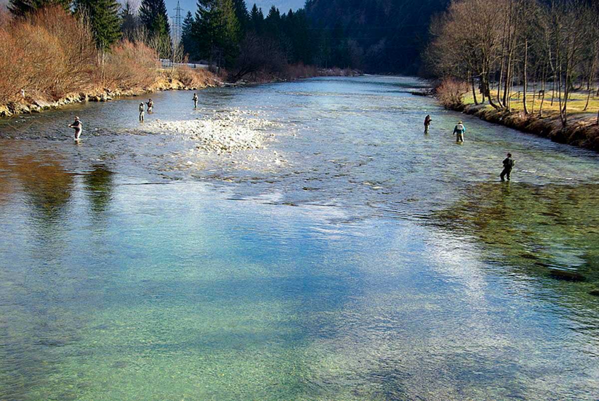 Ribiška tekmovanja - Zavod za ribištvo Slovenije