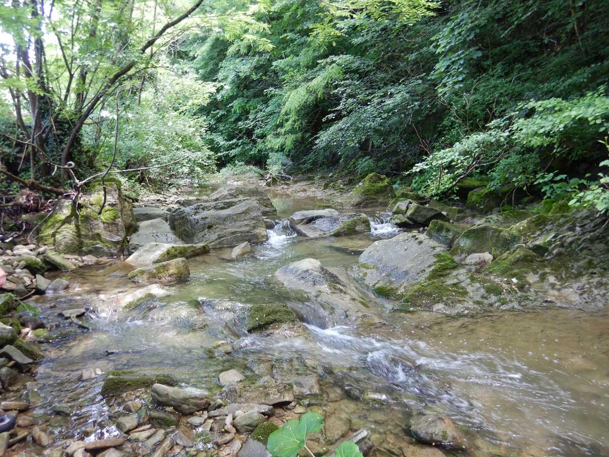 EVROPSKI DAN NATURA 2000 in MEDNARODNI DAN BIOTSKE RAZNOVRSTNOSTI ...